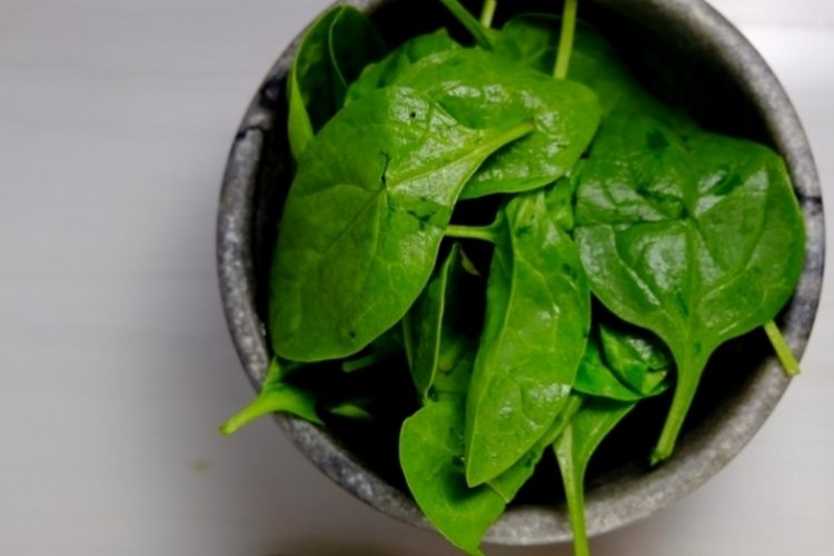 Gjethja e hekurt - AgroWeb