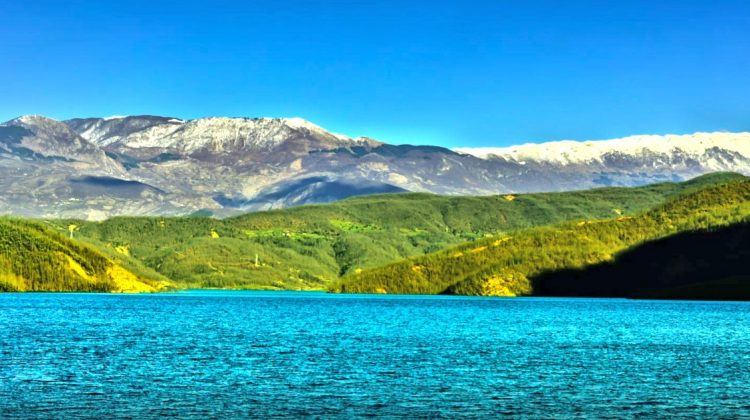 Shëtitja në Natyrë - Efektet në Trurin e Njeriut - AgroWeb