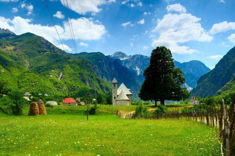 Pyjet dhe kullotat ndërrojnë pronar - AgroWeb