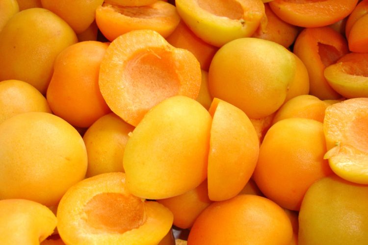 Kajsi Plot Bukuri - Mrekullitë Me Shije Të Pranverës Shqiptare - AgroWeb