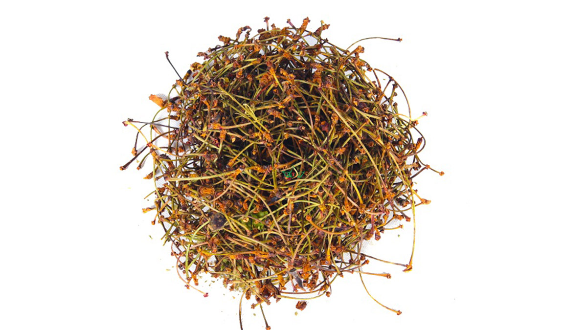 Bishtat e Thata të Qershive - Një Trajtim Organik Për Problemet e ...