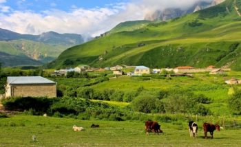 BUJQËSIA SHQIPTARE - AgroWeb