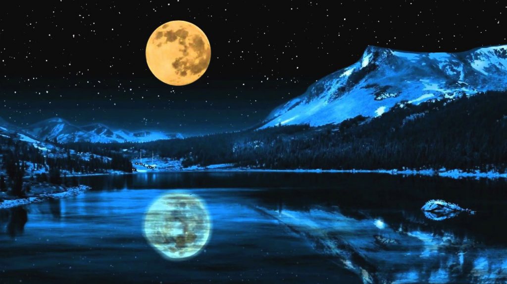 Mështekna Shqiptare - E Arta e Natyrës për Shëndetin - AgroWeb