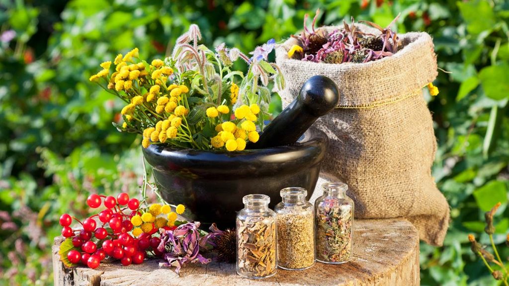 bime mjekesore - AgroWeb