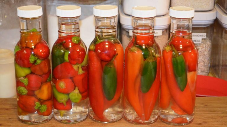 Si të përgatisni Uthullën Pikante për Imunitetin - AgroWeb