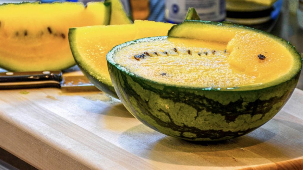 Shalqini i Verdhë i Divjakës - Fruti Shqiptar më Unik dhe i Ëmbël i ...