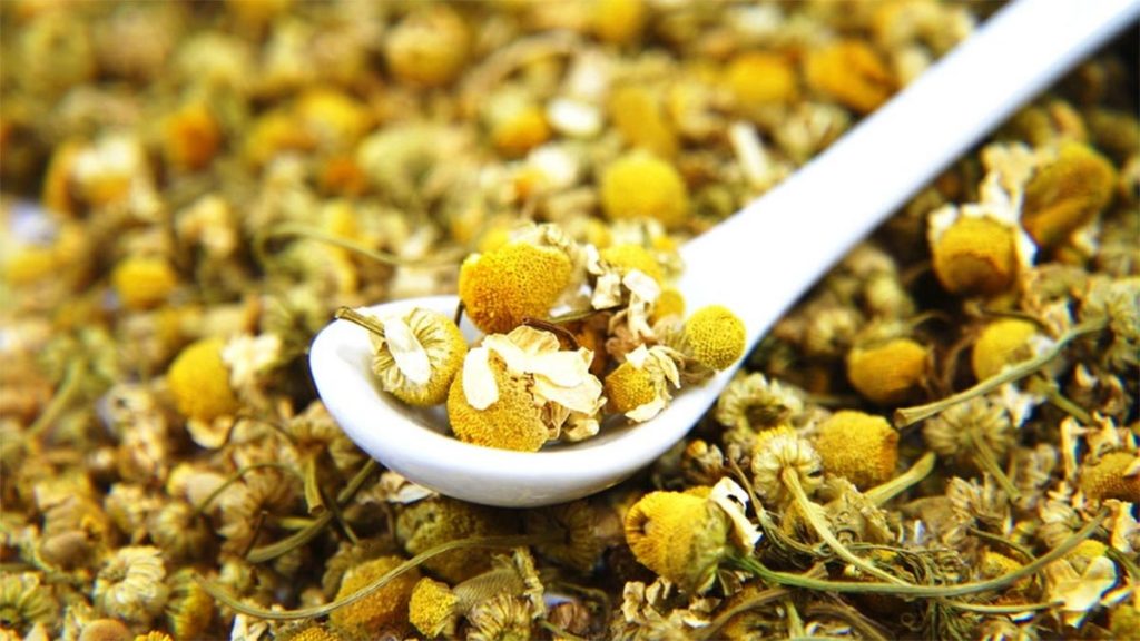 Dhimbjet e Barkut - Metodat Natyrale për Shërimin e Shpejtë - AgroWeb