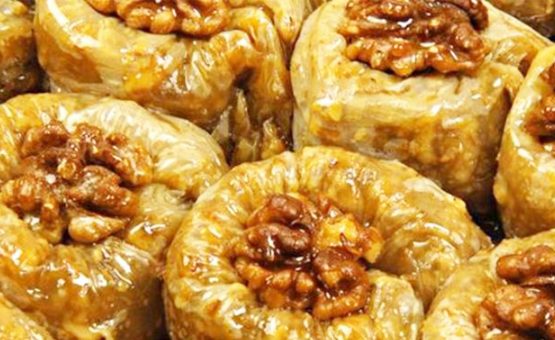 embelsire tradicionale - AgroWeb