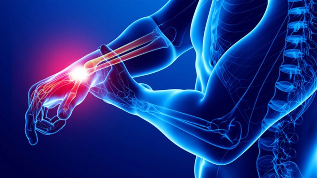 Trupi & Shëndeti - AgroWeb