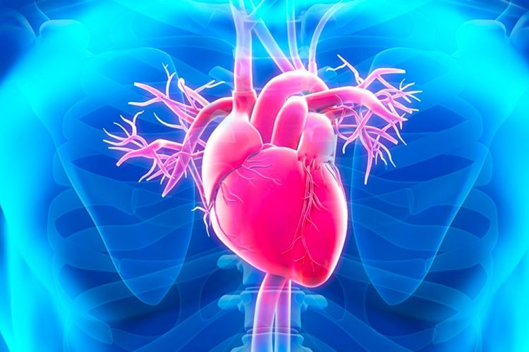 Shtohen Rastet e Sëmundjeve të Zemrës - Cilat janë Qytetet Më Të ...