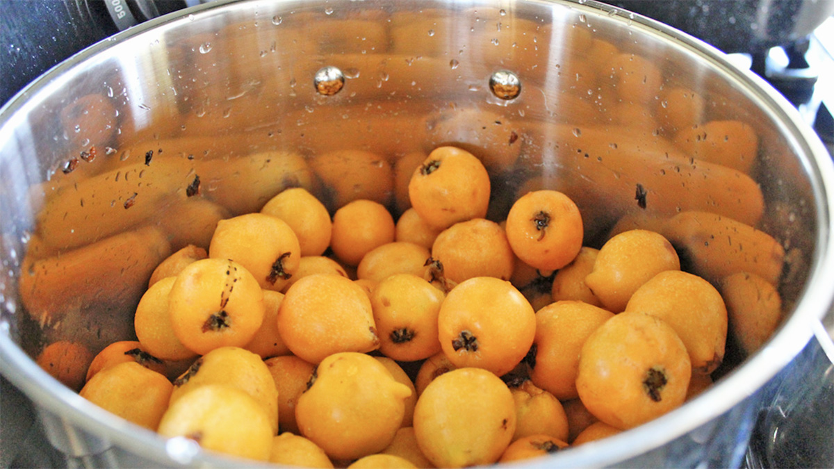 Komposto me Nespullat e Stinës - Ëmbëlsi Unike Plot Freski - AgroWeb