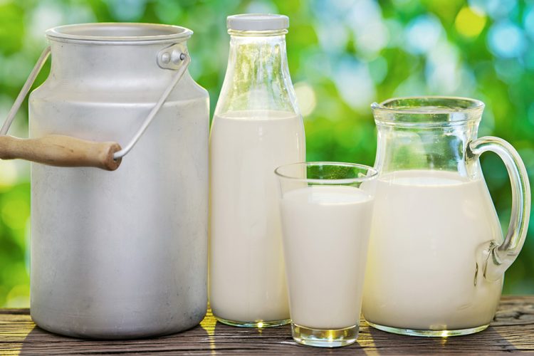 Qumështi i Dhisë - Vlerat, Vetitë Dhe Përfitimet Për Shëndetin - AgroWeb