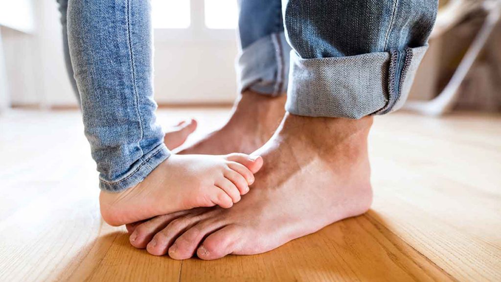 Trupi & Shëndeti - AgroWeb