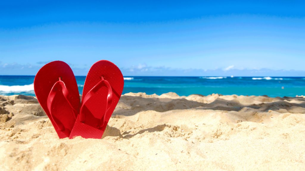 Trupi & Shëndeti - AgroWeb