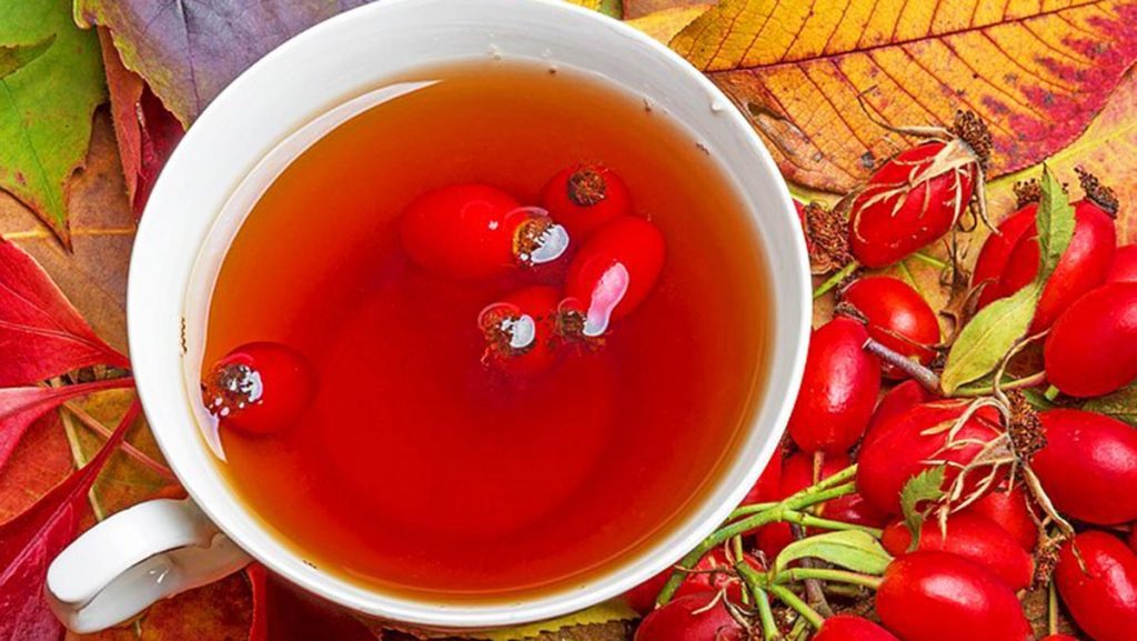 bime mjekesore - AgroWeb