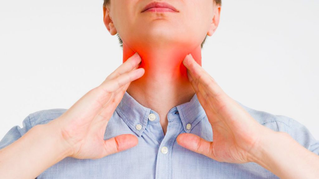 Trupi & Shëndeti - AgroWeb