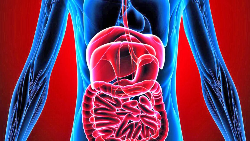 Trupi & Shëndeti - AgroWeb