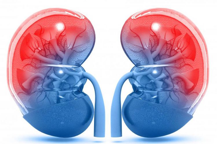 Zgjidhjet E Duhura Që Duhet Të Dini Për Trajtimin e Infeksionit në ...