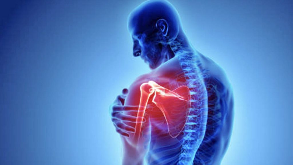 Trupi & Shëndeti - AgroWeb