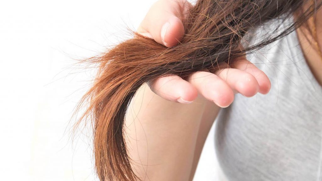 Trumza - Vetitë, Përfitimet dhe si ta Përdorni më Mirë në Kuzhinë - AgroWeb