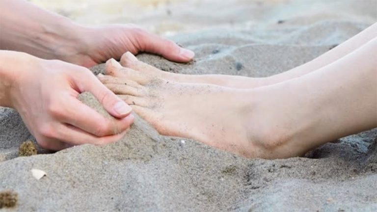 Dylli i Bletës me Vlera të Rralla Kurative - AgroWeb