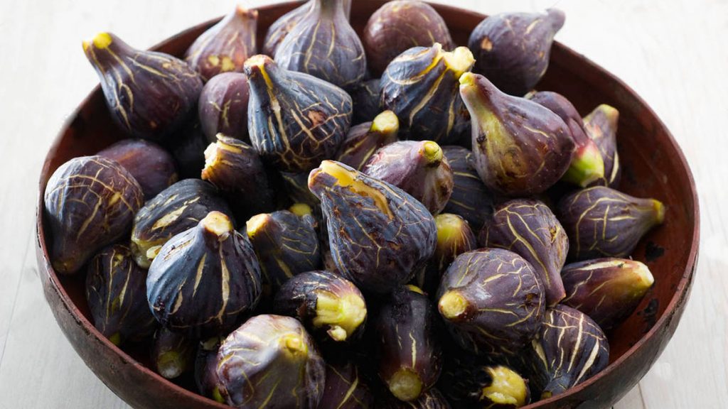 Trupi & Shëndeti - AgroWeb