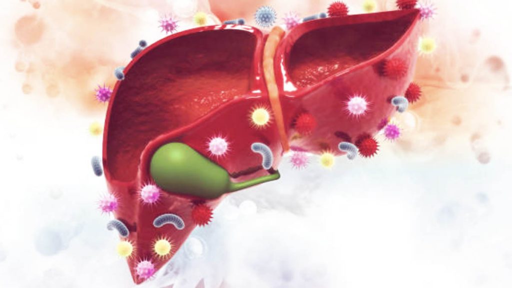 Semundjet e melcise - AgroWeb