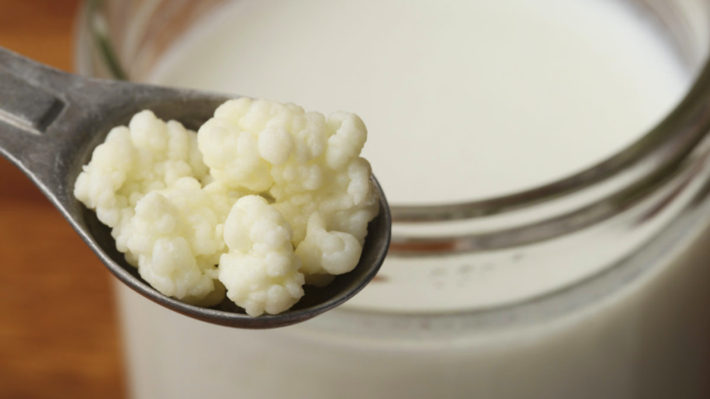 Trupi & Shëndeti - AgroWeb