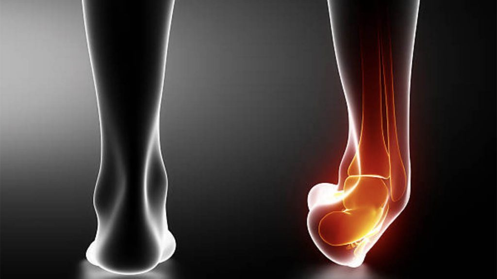 Trupi & Shëndeti - AgroWeb