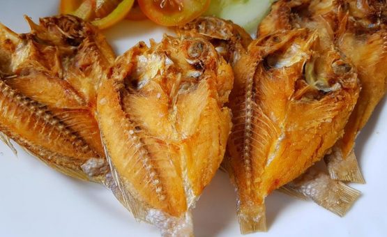 Peshk i thate - AgroWeb