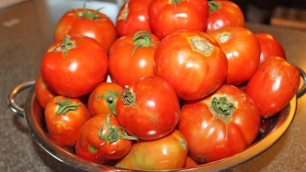 Ballokume Tradicionale - Receta Sekrete nga Nënat E Elbasanit - AgroWeb