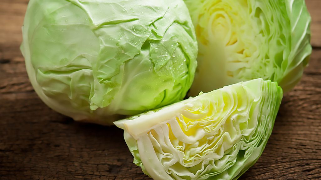 5 Lule që Mund t'i Rrisni Lehtë Brenda Shtëpisë Tuaj - AgroWeb