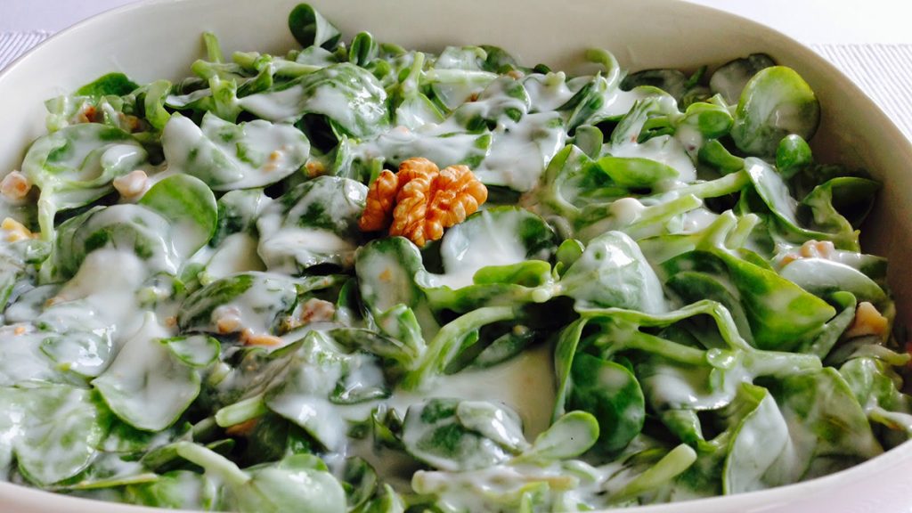 Receta të shpejta - AgroWeb