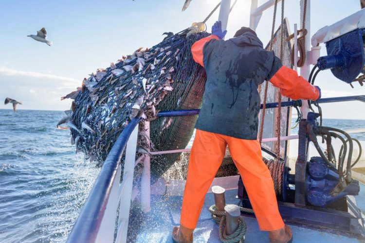 Subvencionim 50% peshkatarëve për rinovimin e pajisjeve për anijet e ...