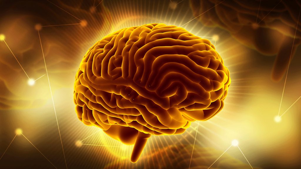 Trupi & Shëndeti - AgroWeb