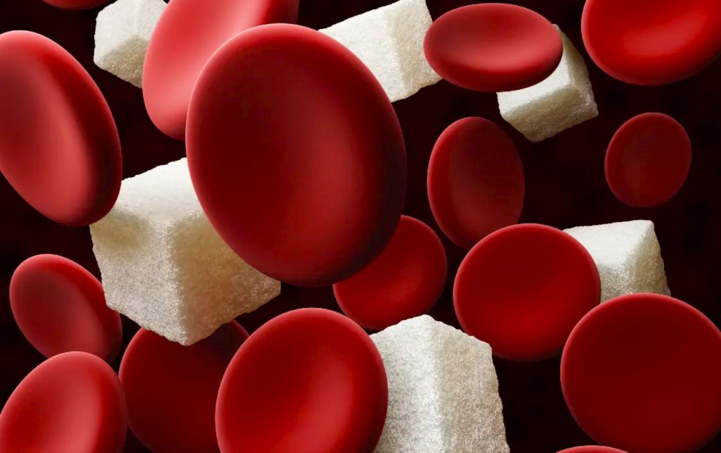 Trupi & Shëndeti - AgroWeb