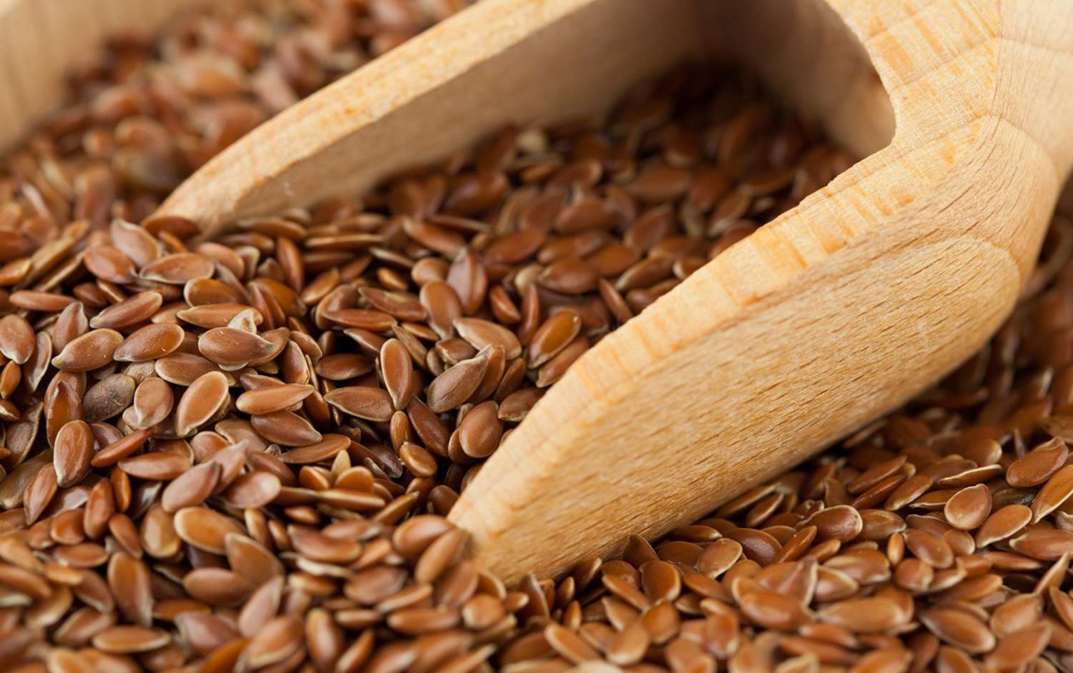 Trupi & Shëndeti - AgroWeb