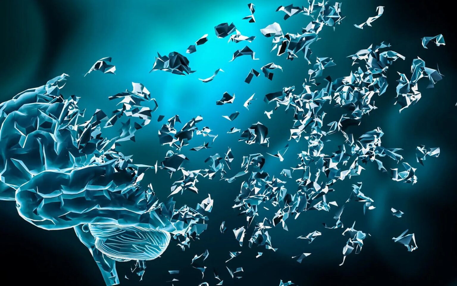 Lulelakër me Vezë Për Një Vakt të Lehtë e Plot Shëndet - AgroWeb