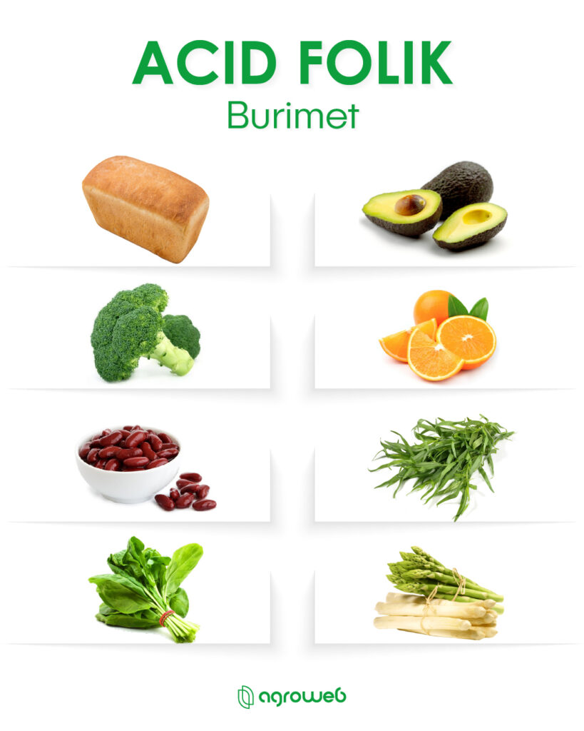 acidi folik - AgroWeb
